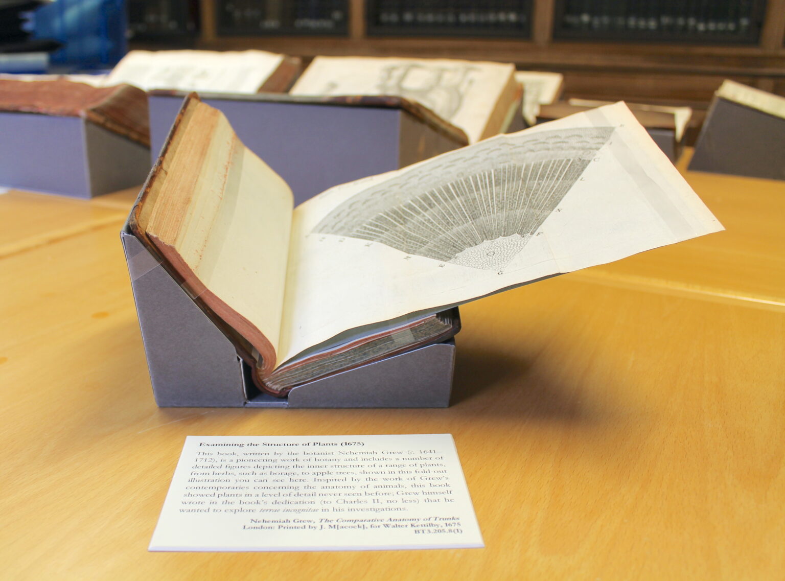 Boxes & cradles - Green's Books